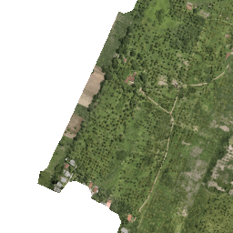 Visigeo - Veyangoda Coconut Plantation - CBL